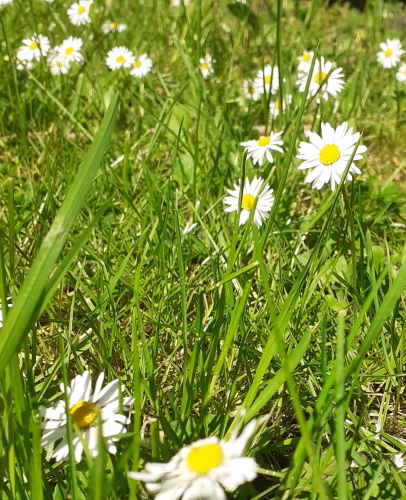 Decluttering and Organising with Kate Wren